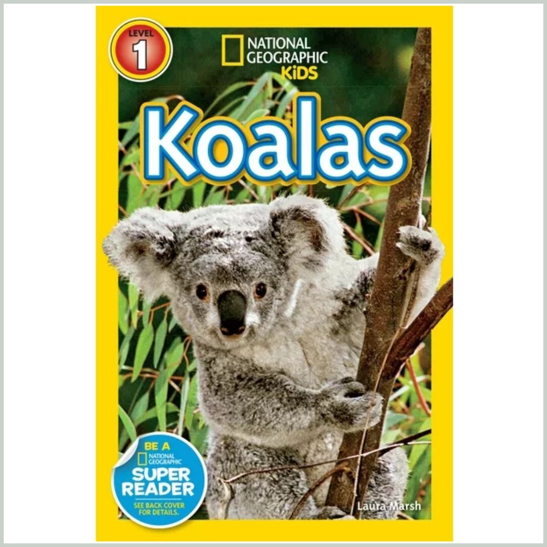 National Geographic: Koalas (Level 1) – creAcciones