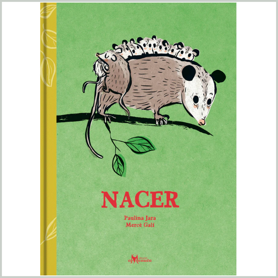 Nacer – creAcciones